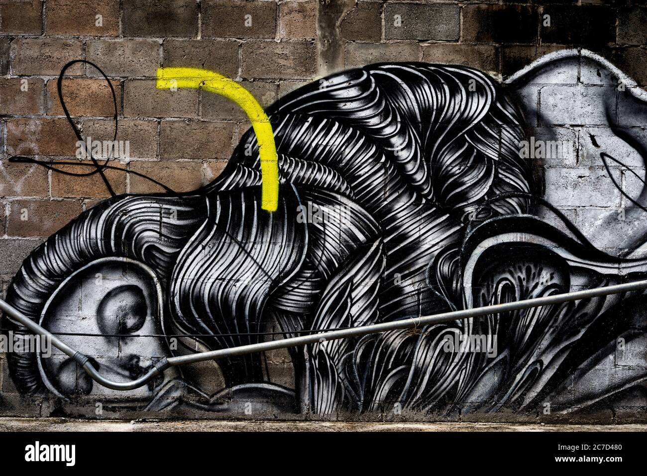 Graffiti of a woman wrapped in coiled wire Stock Photo - Alamy