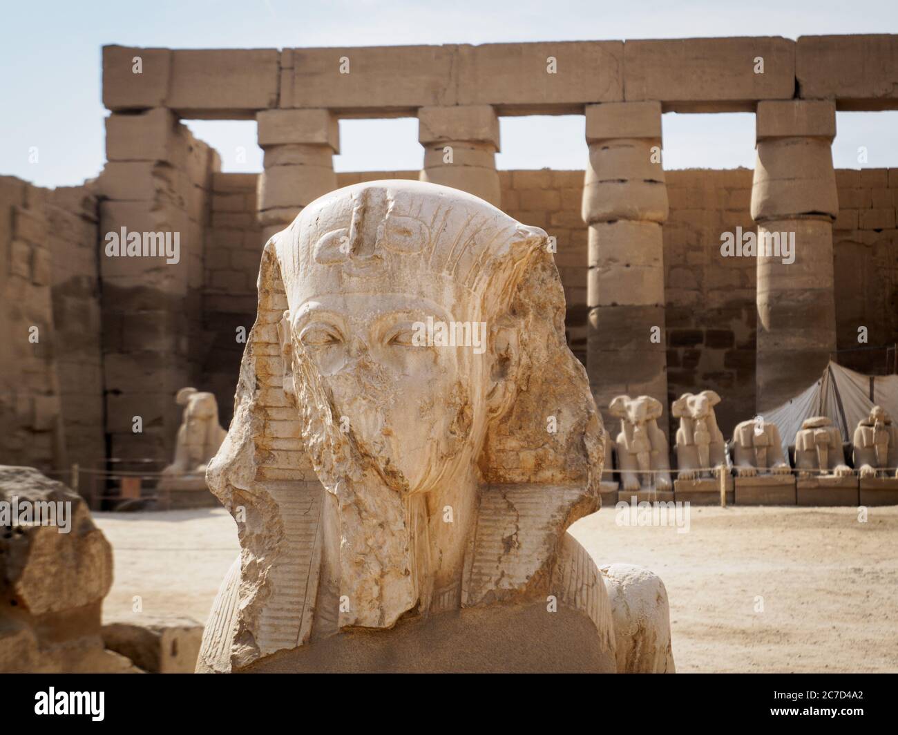 Hatshepsut sphinx statue hi-res stock photography and images - Alamy