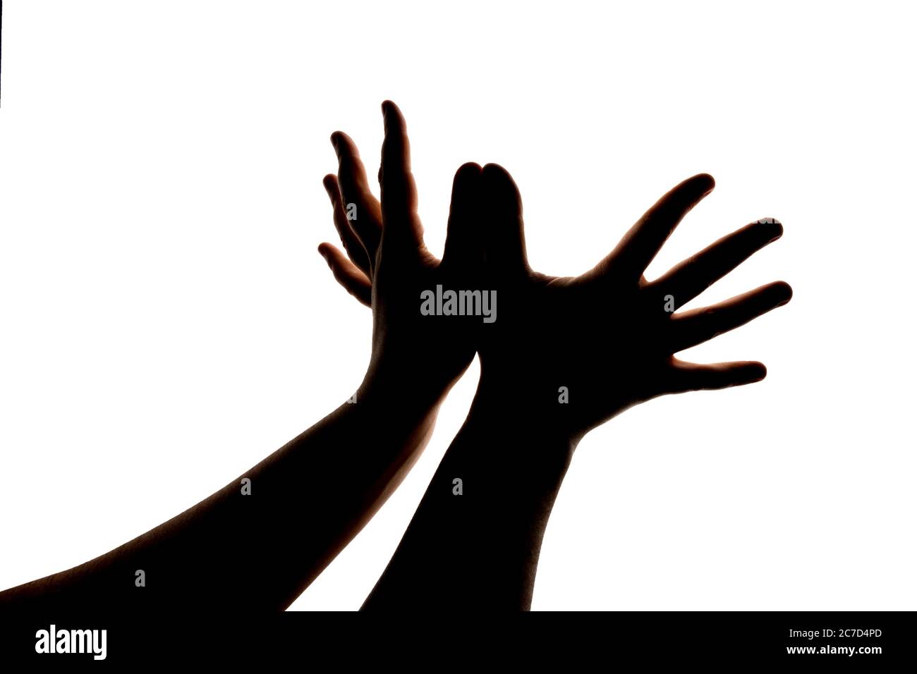 Silhouette of hands showing flying bird wings gesture isolated on white ...