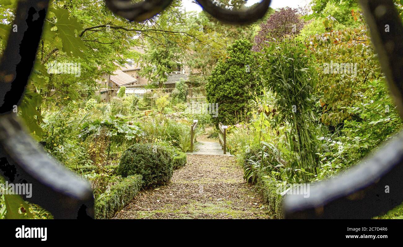Horizontal shot of a pathway in a beautiful green garden with trees and ...