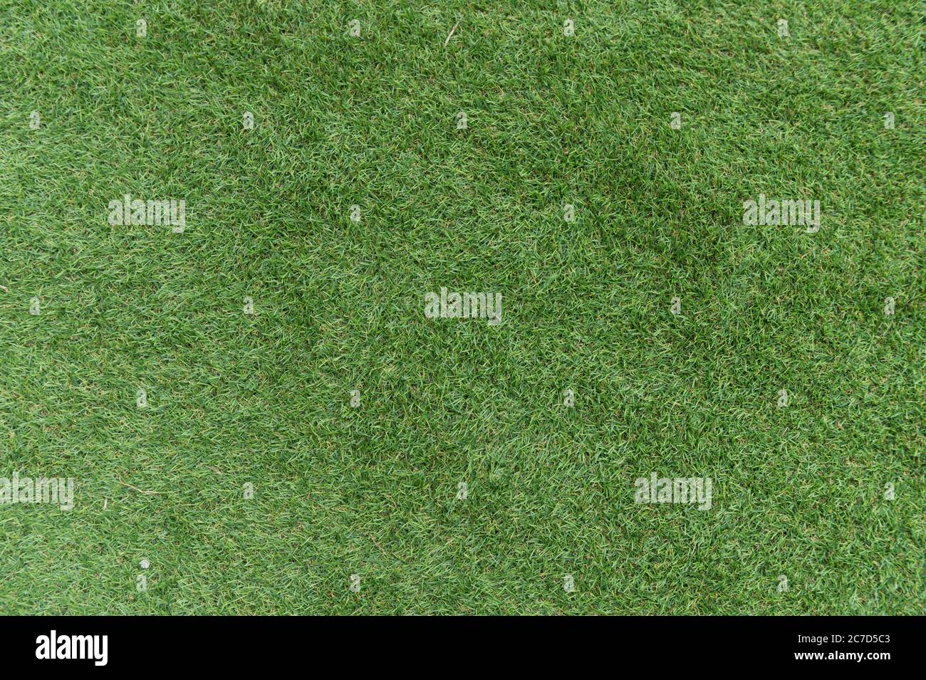 Green grass background texture Stock Photo - Alamy