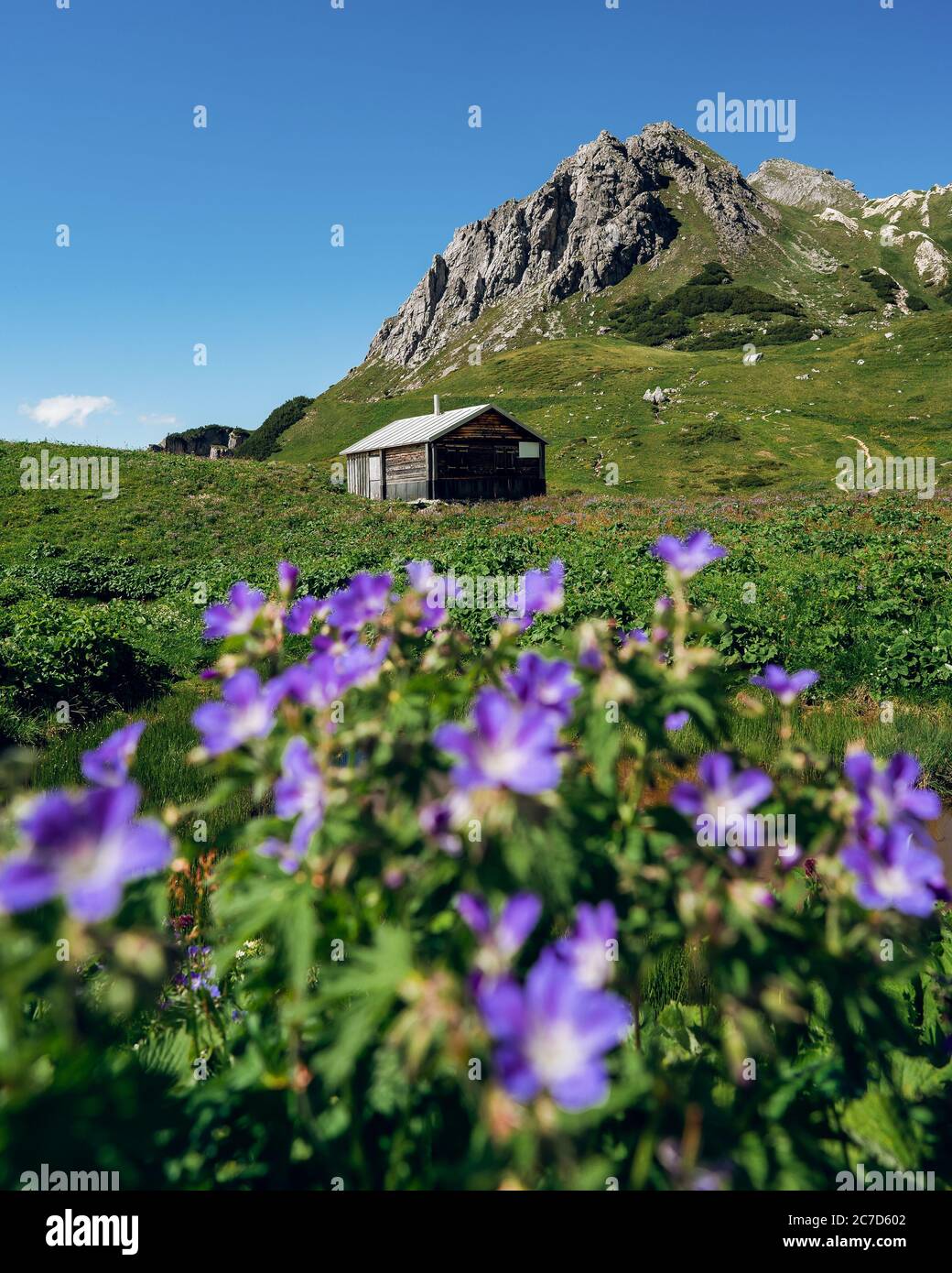 Old and remote cabin from of beautiful Alps mountains. Old house looks ...