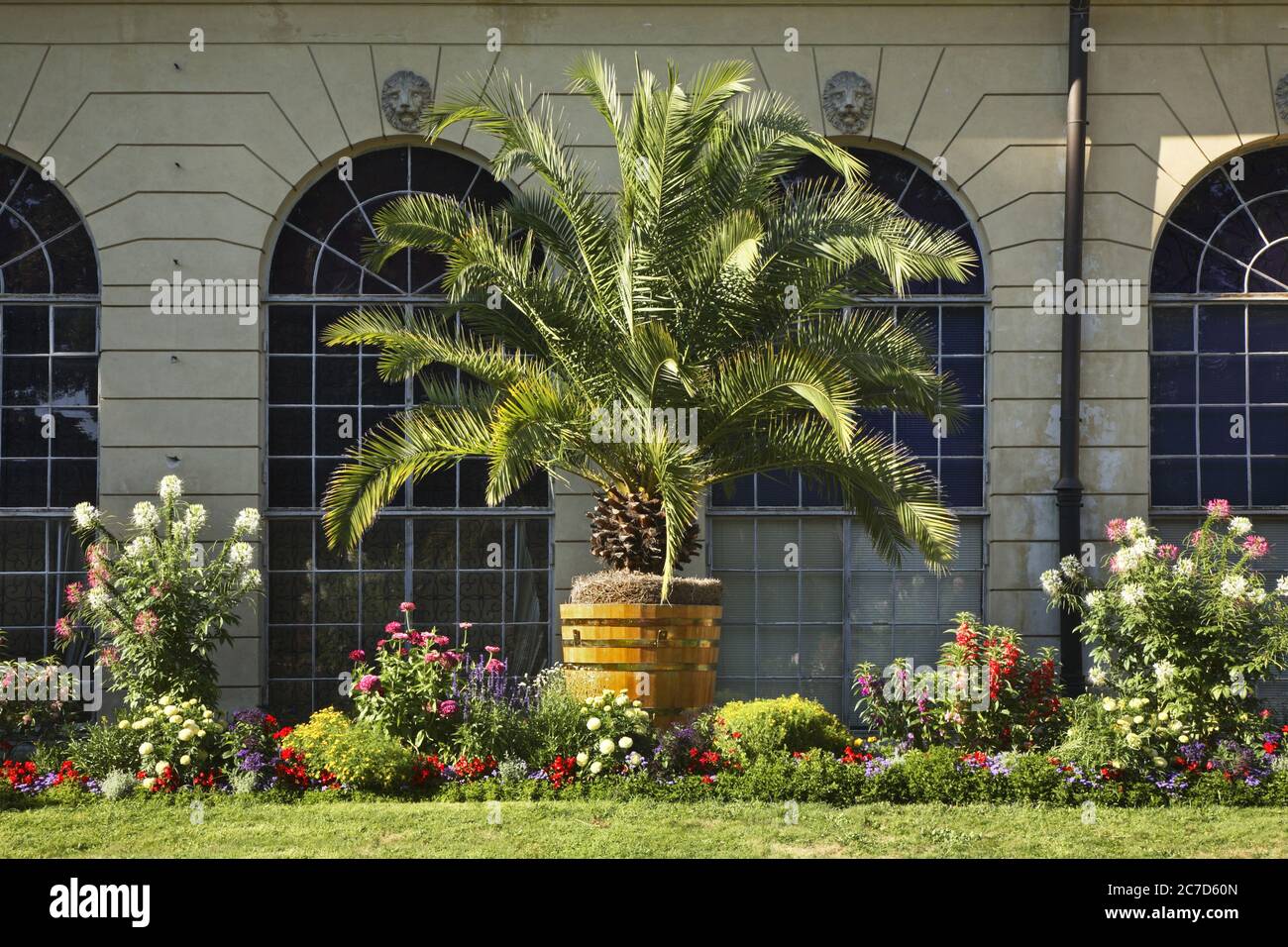 Warsaw palm tree hi-res stock photography and images - Alamy