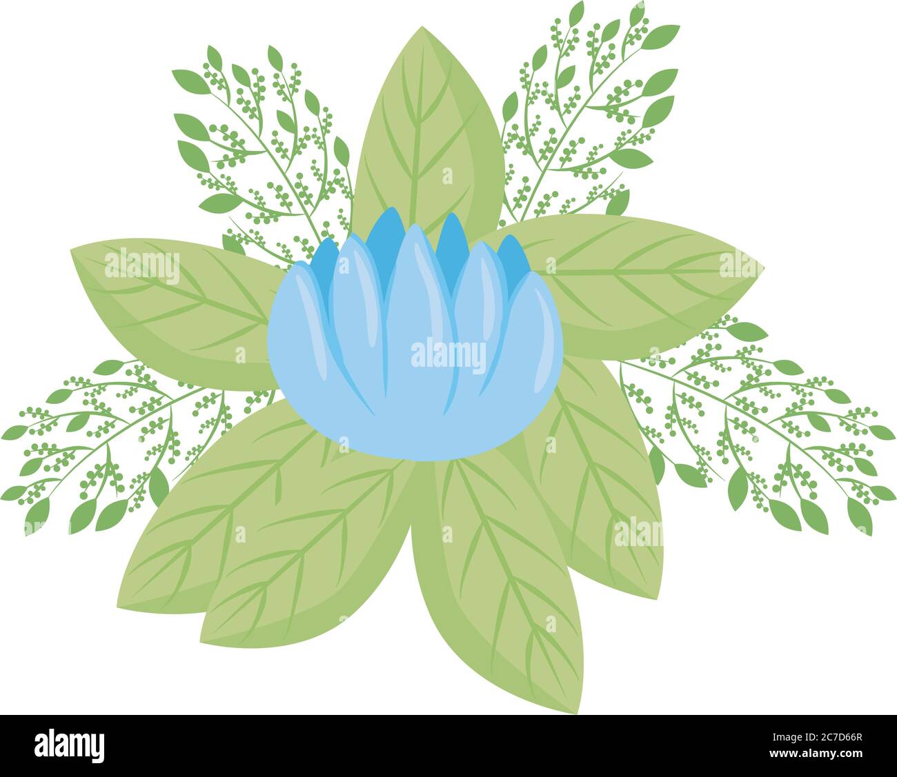 blue flower with leaves vector design Stock Vector Image & Art - Alamy