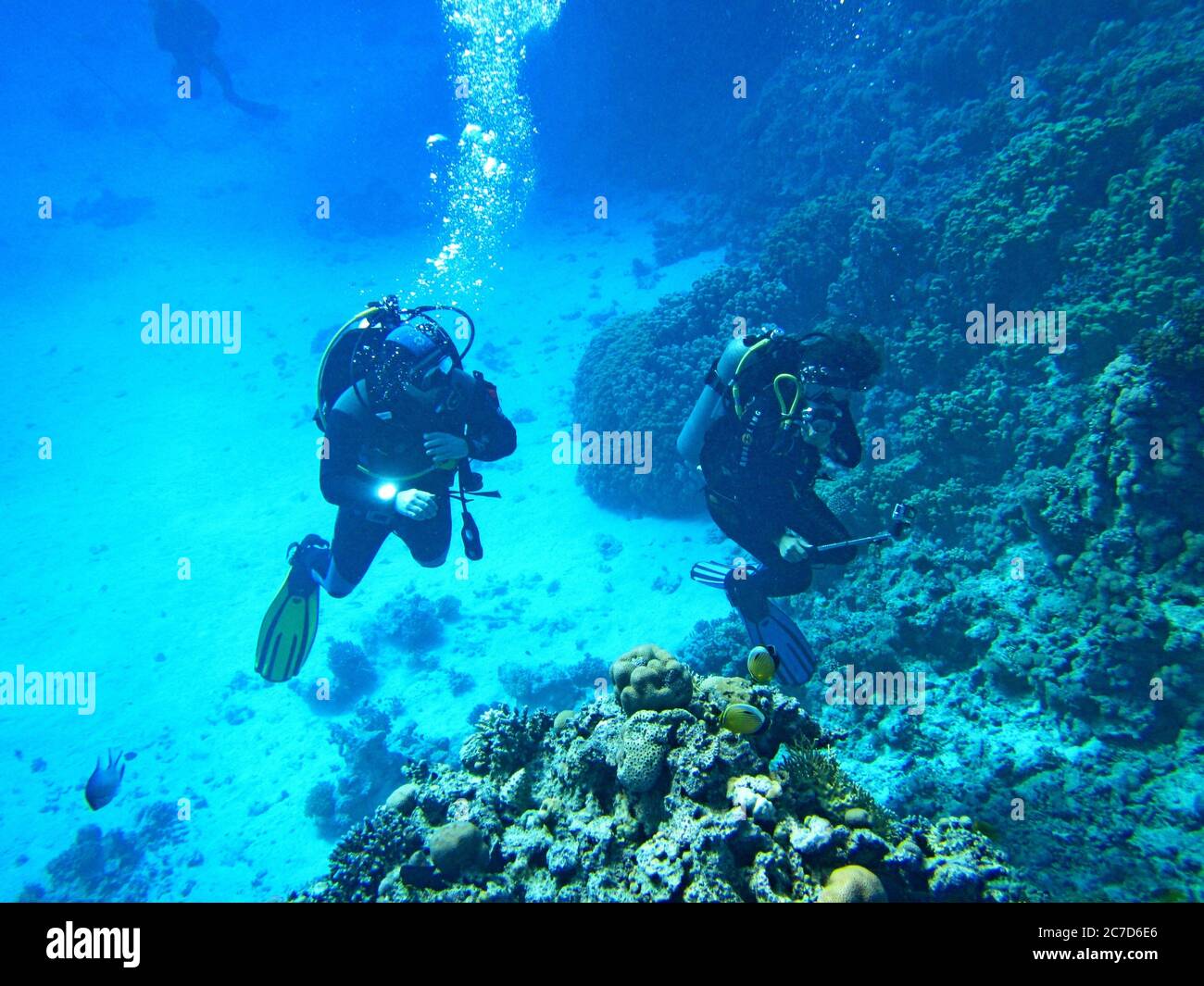 Underwater shot of two divers in diving gear photographing the life ...