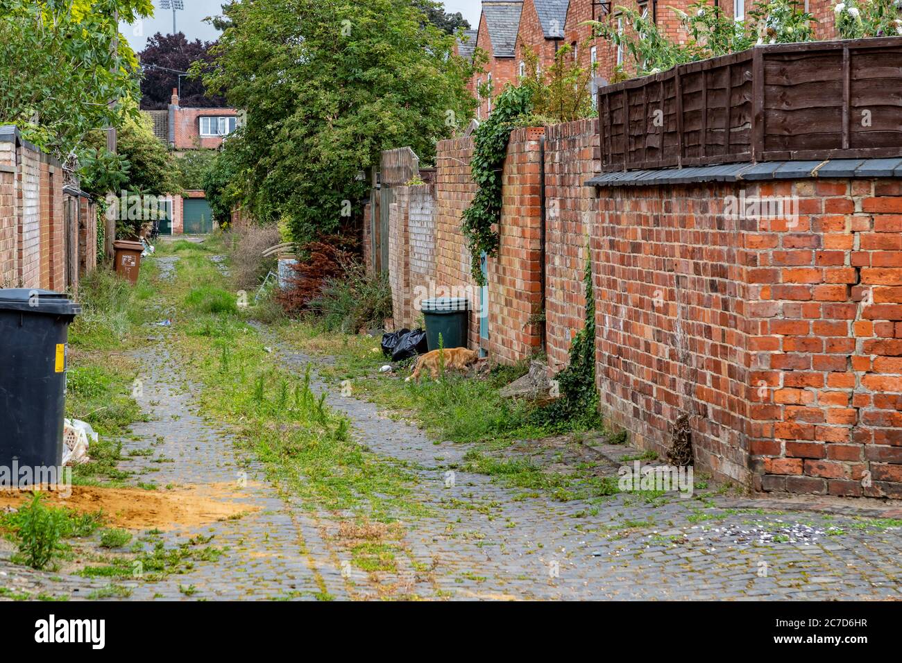 Alleyway between houses in residential hi-res stock photography and ...