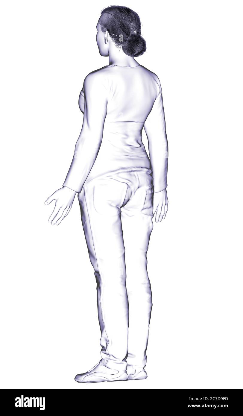3d rendered illustration of the female body Stock Photo - Alamy