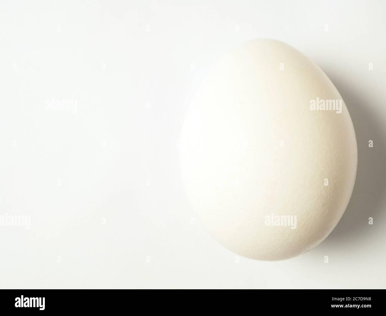 A single white egg isolated on a white background offset to one side ...