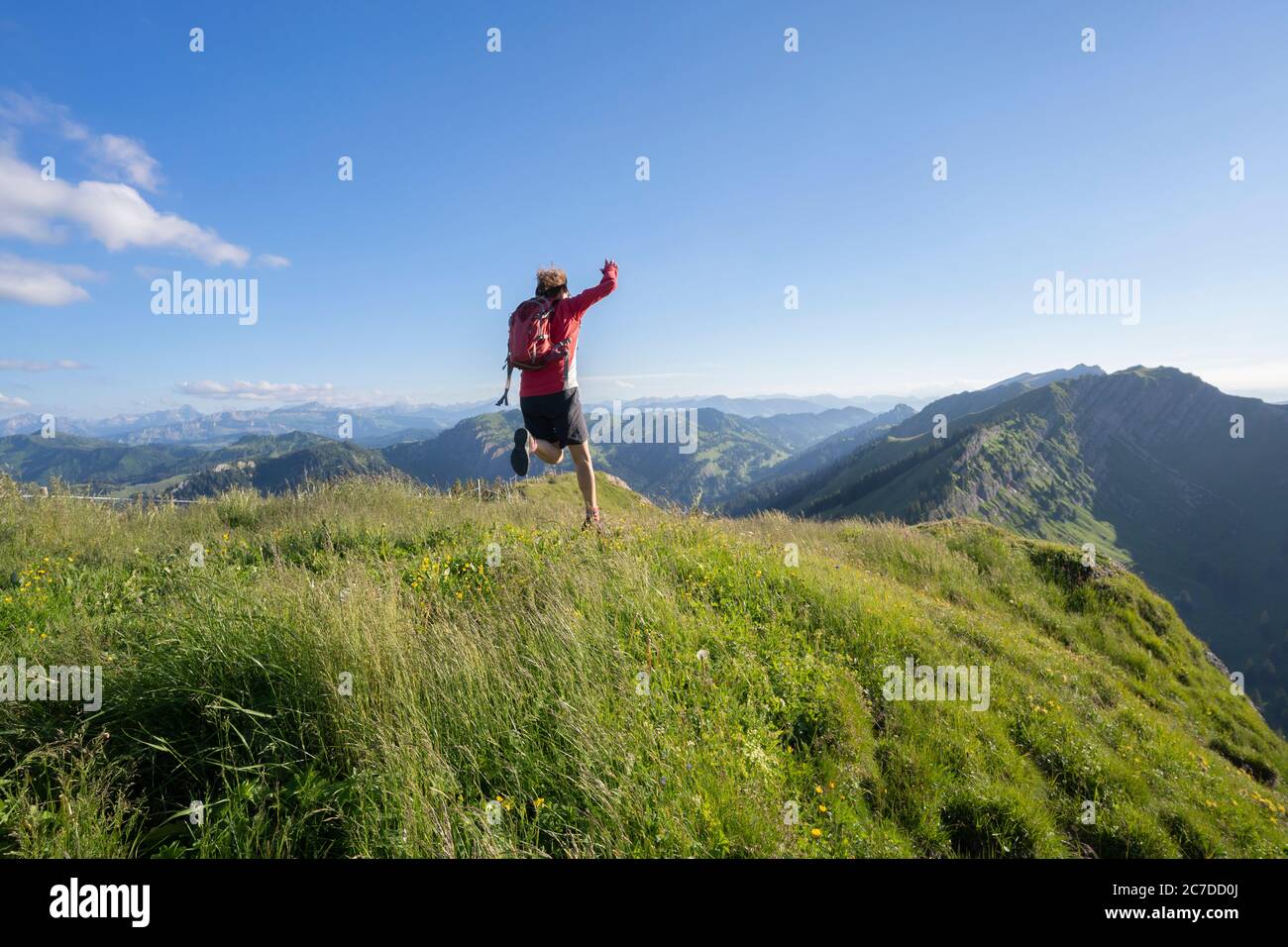 allgaeu alps, mountains, hiking, senior woman, walking, solitude ...