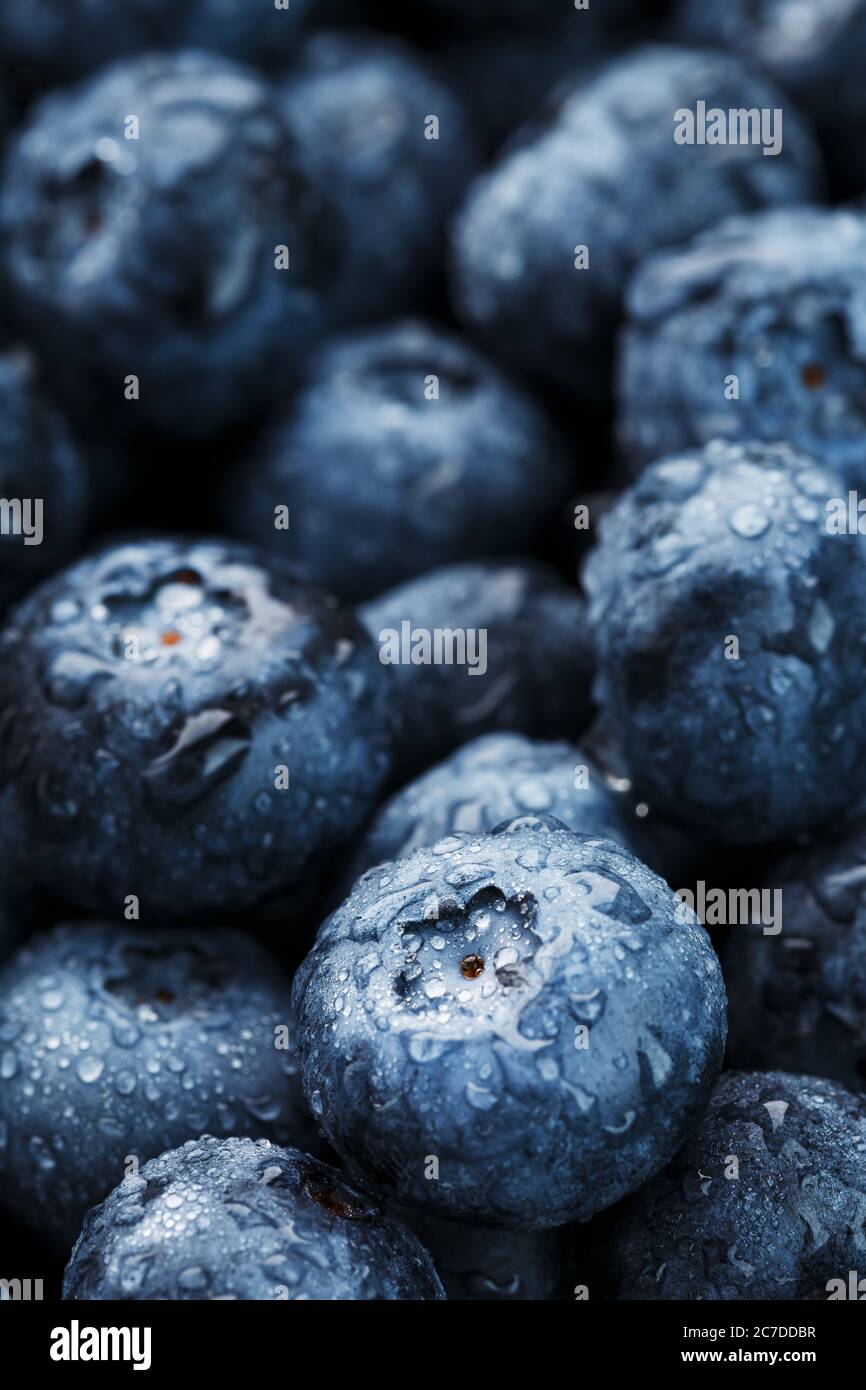 Juicy blueberries in the form of a full-screen texture Stock Photo - Alamy