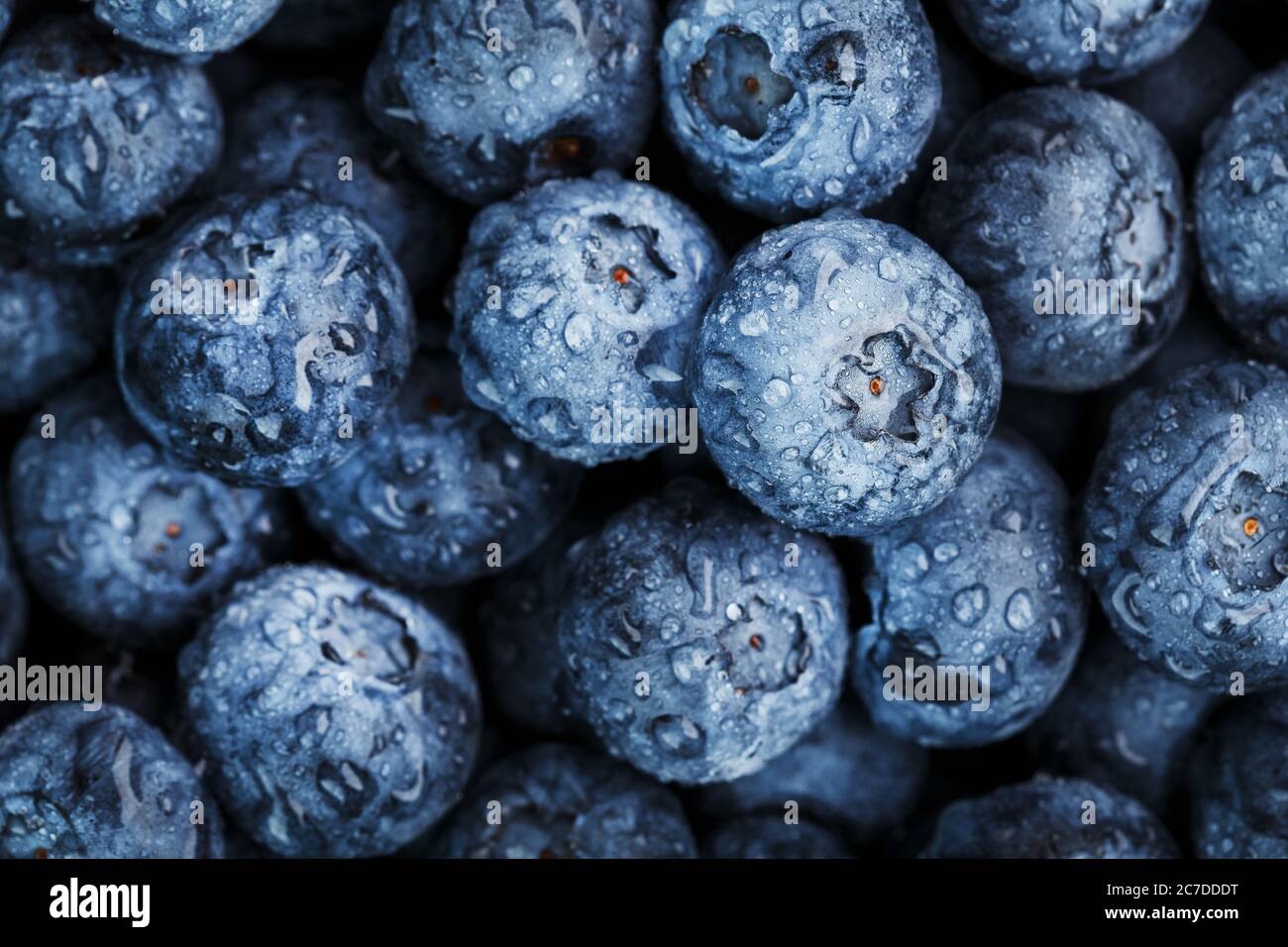 Juicy blueberries in the form of a full-screen texture Stock Photo - Alamy