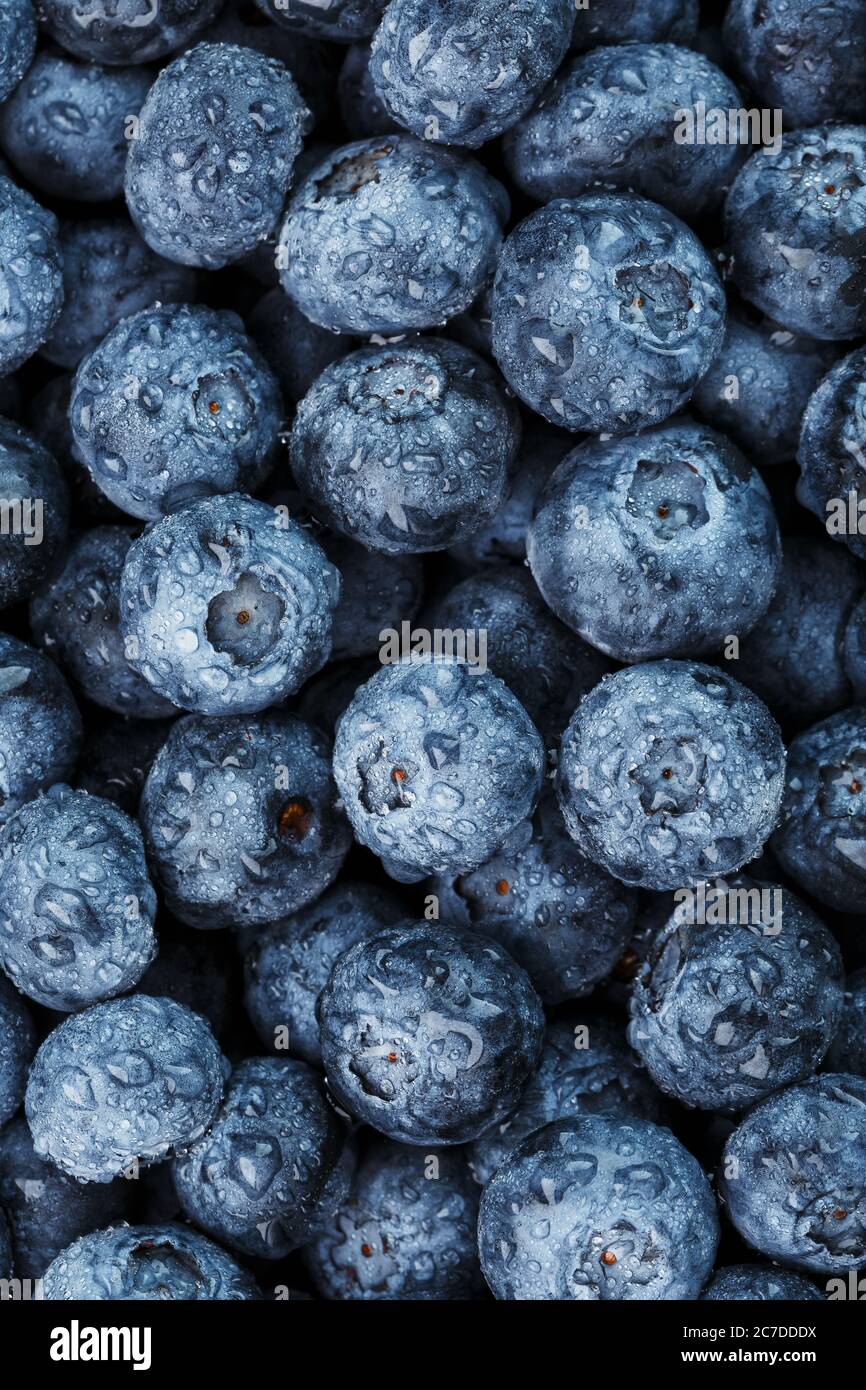 Purple bricks screen hi-res stock photography and images - Alamy