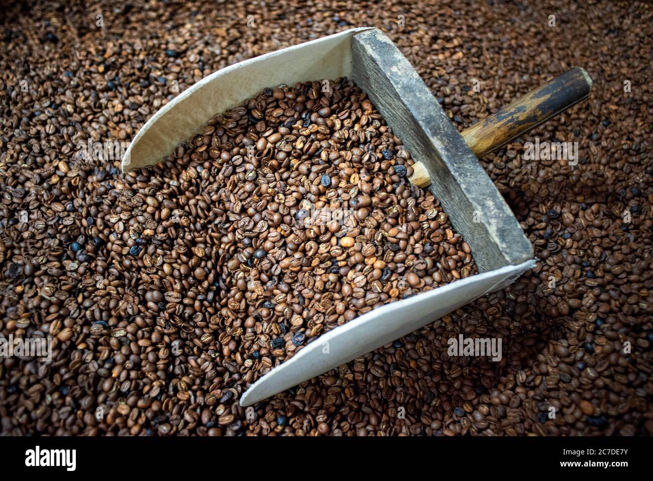El Carmen State Organic Coffee brand plantations and distribution in ...