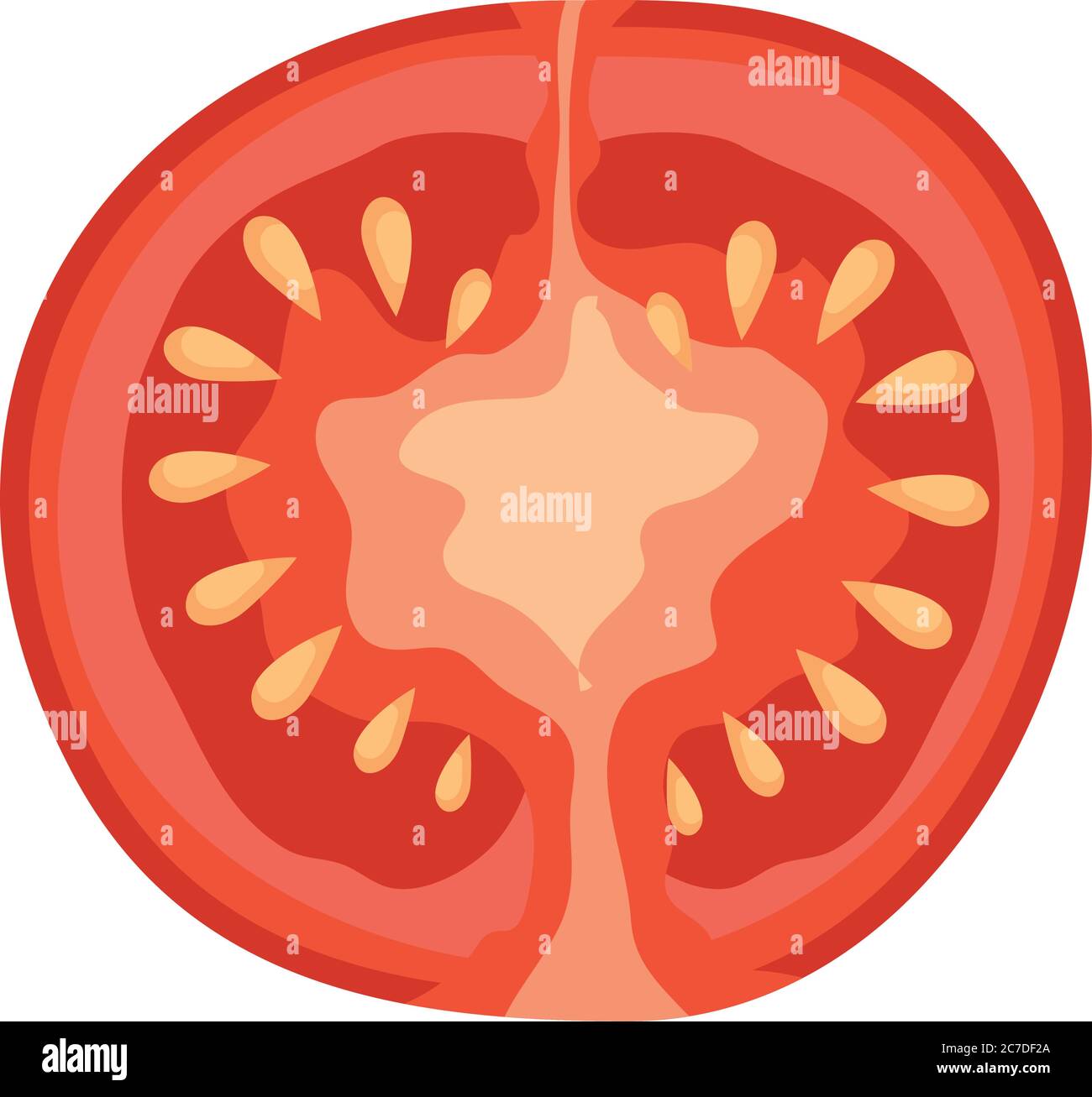 Isolated tomato vegetable vector design Stock Vector Image & Art - Alamy