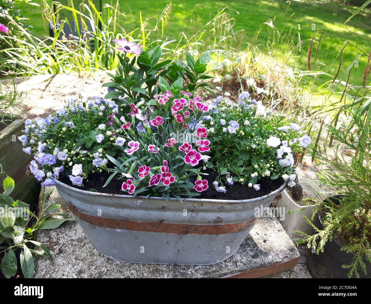 Metal flower pot hi-res stock photography and images - Alamy