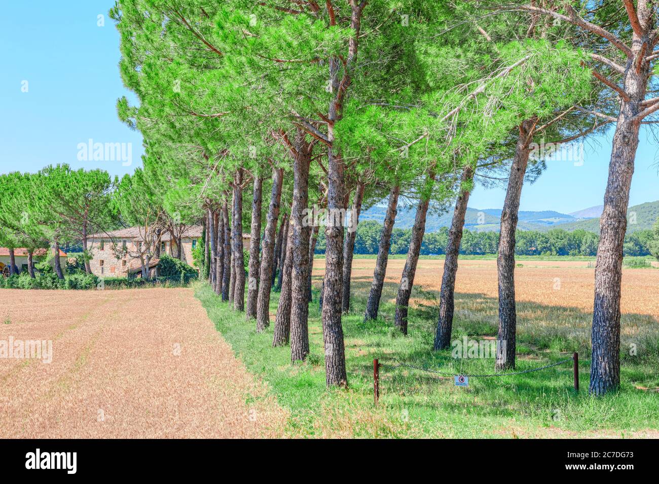 Magione trasimeno umbria italy hi-res stock photography and images - Alamy