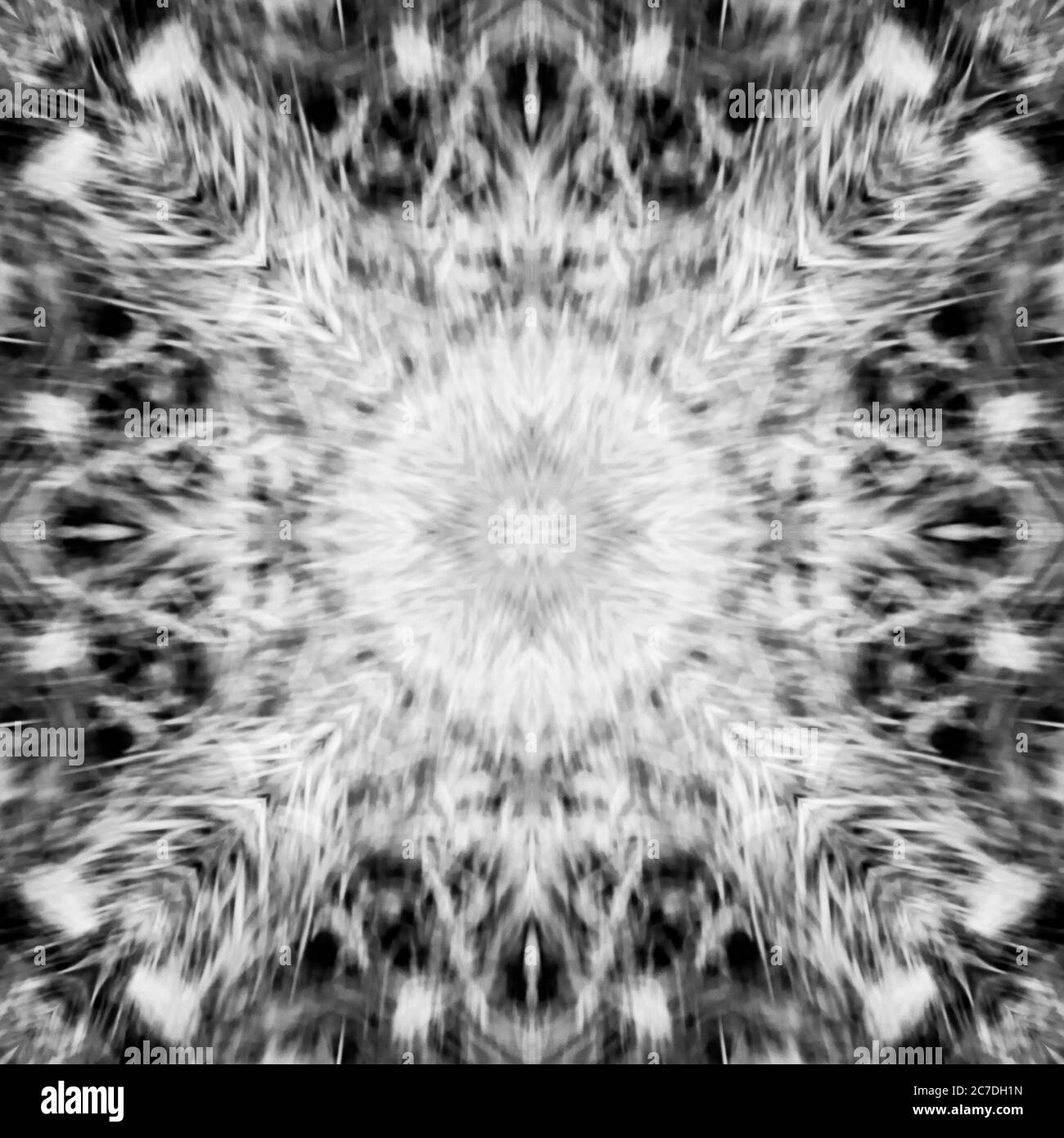 Computer graphics, pattern - kaleidoscope, seamless surreal magic ...