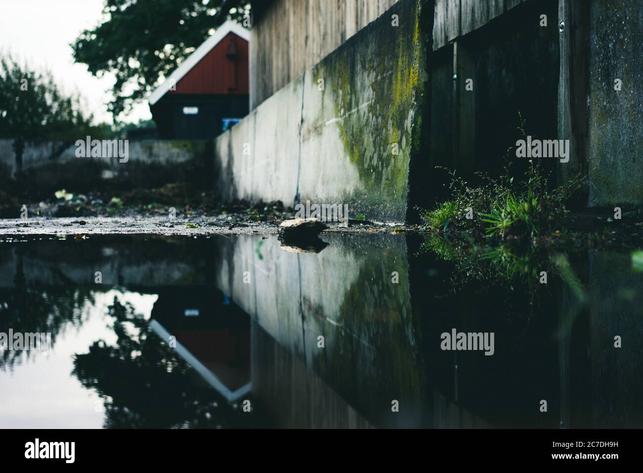 Worm's eye view of a water puddle in a backyard with walls covered in ...