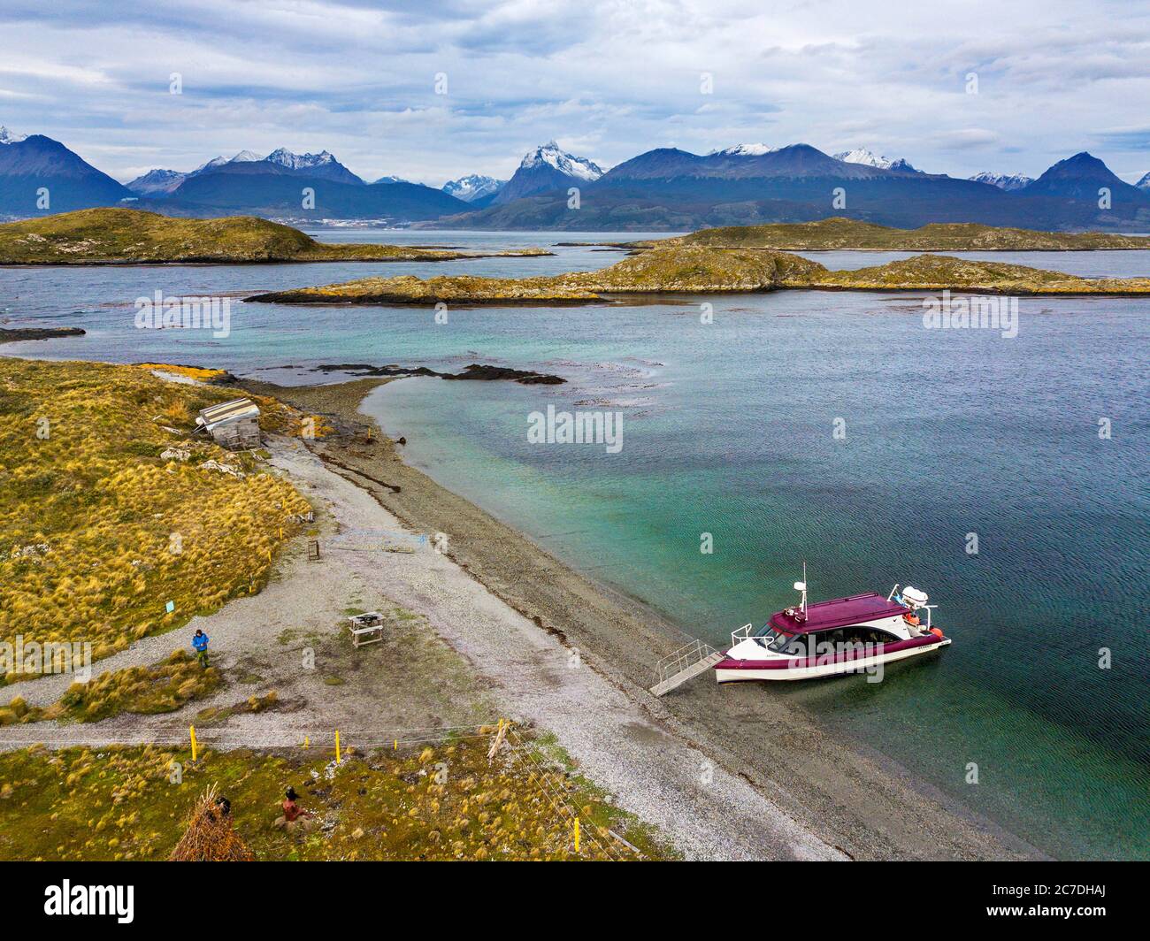 Isla beagle hi-res stock photography and images - Alamy