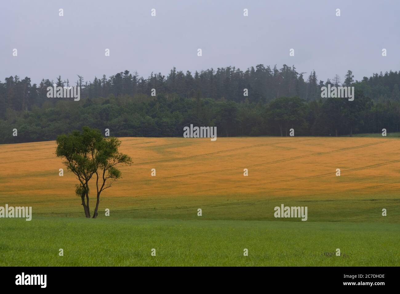 Cultivated fields and forests before a big storm Stock Photo - Alamy