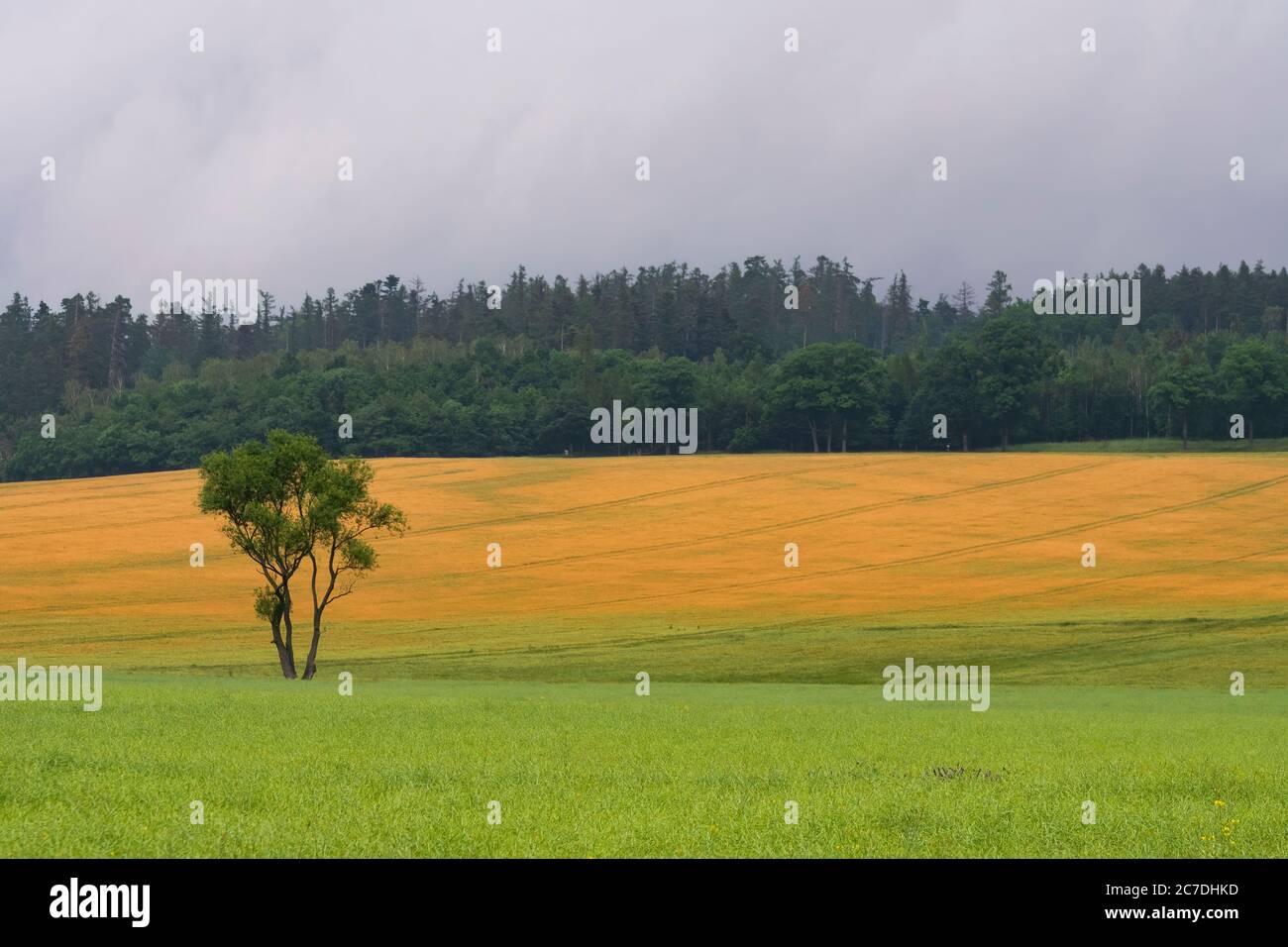 Cultivated fields and forests before a big storm Stock Photo - Alamy