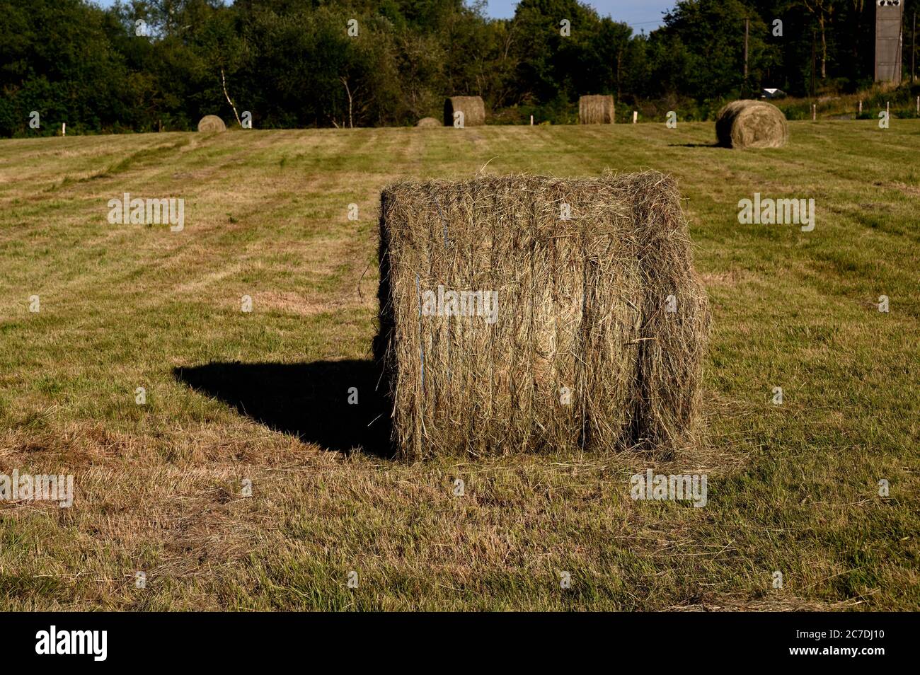 Yellow haystacks hi-res stock photography and images - Alamy