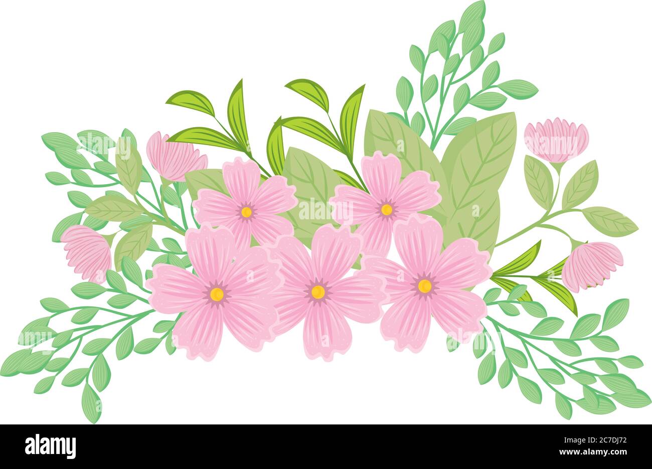 pink flowers with leaves vector design Stock Vector Image & Art - Alamy