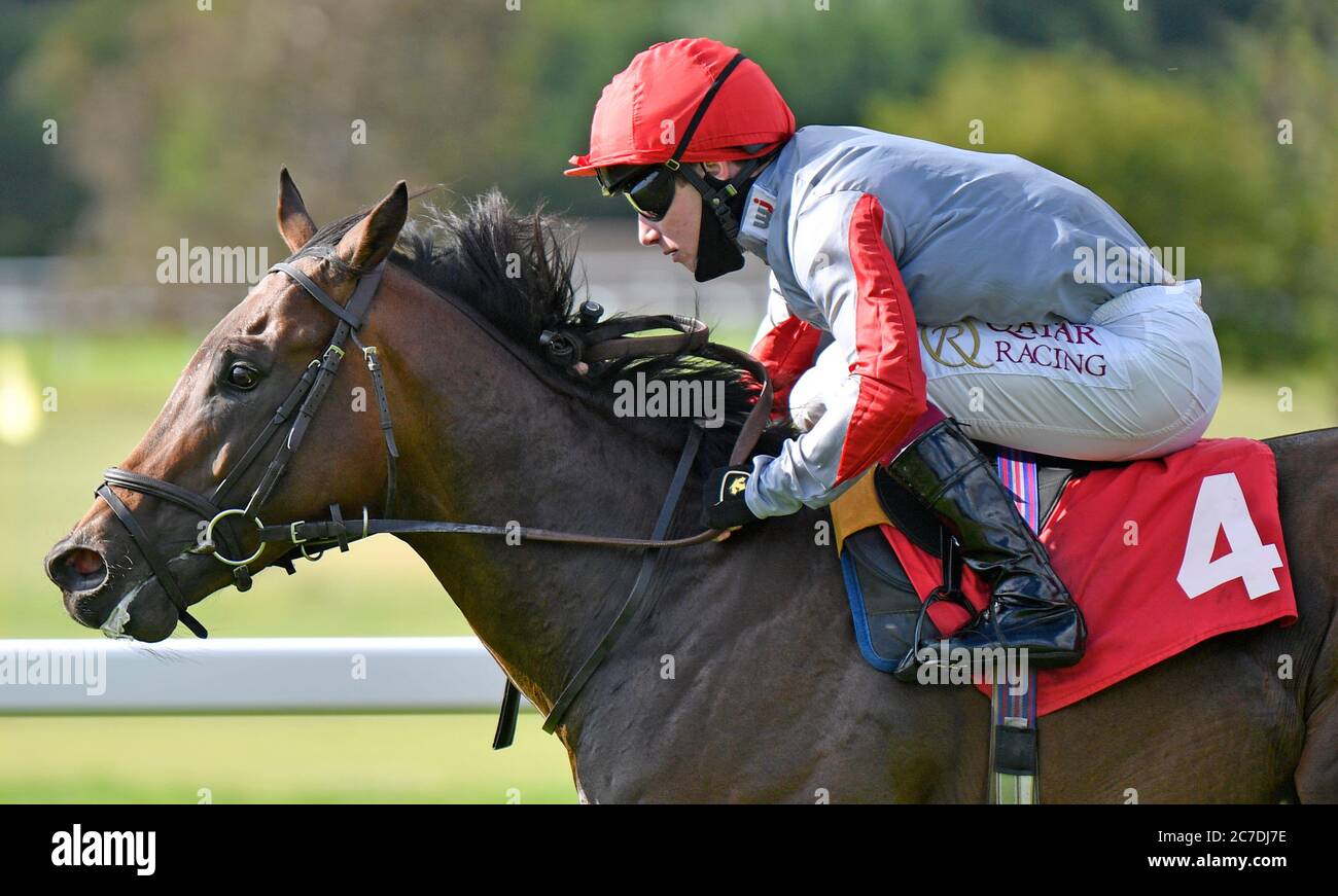 Ubettabelieveit ridden hi-res stock photography and images - Alamy
