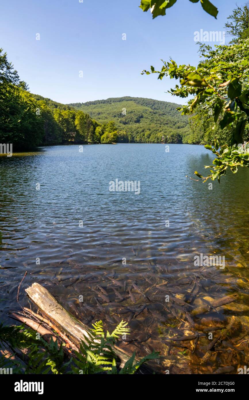 Morske oko vihorlat hi-res stock photography and images - Alamy