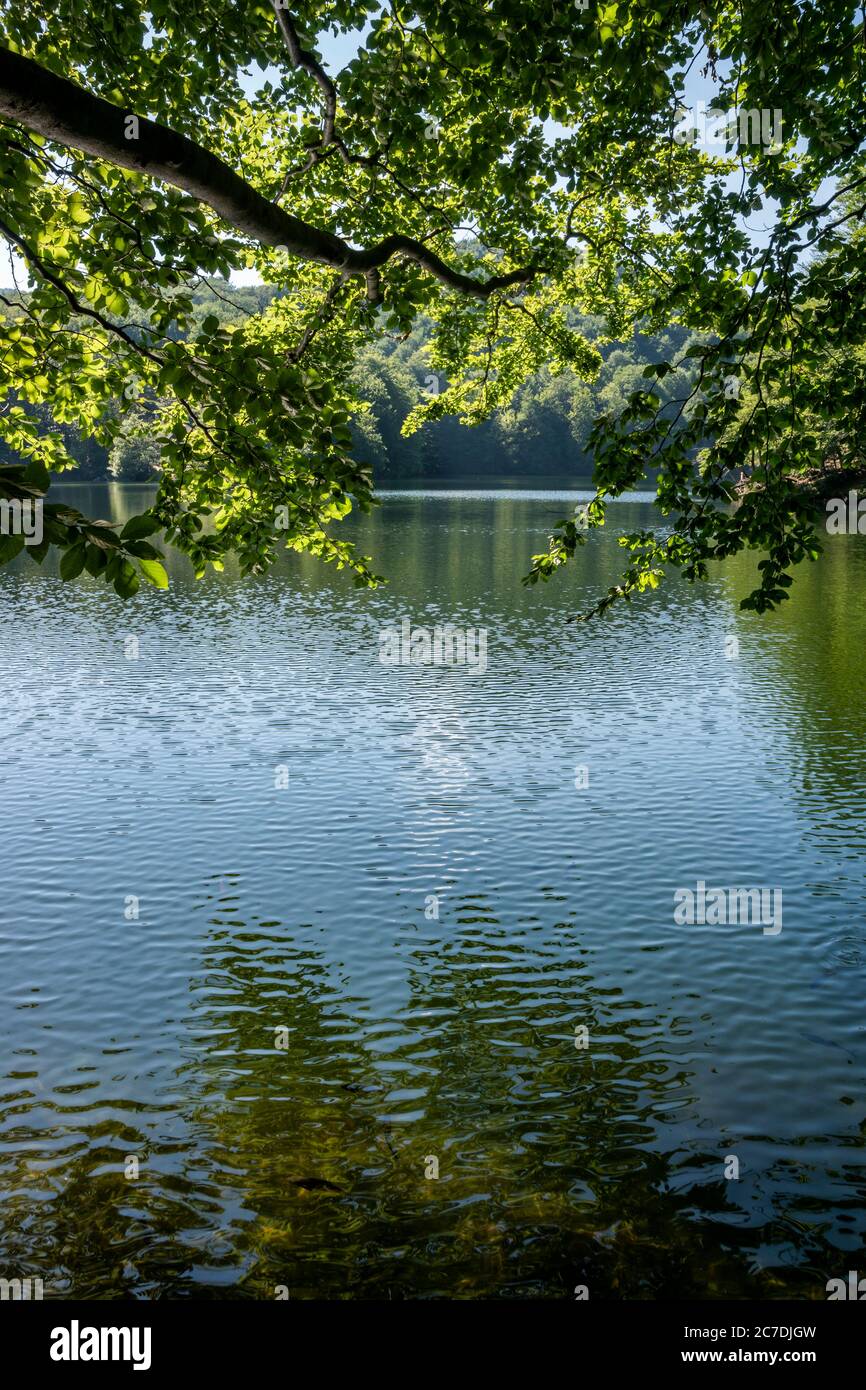 Morske oko vihorlat hi-res stock photography and images - Alamy