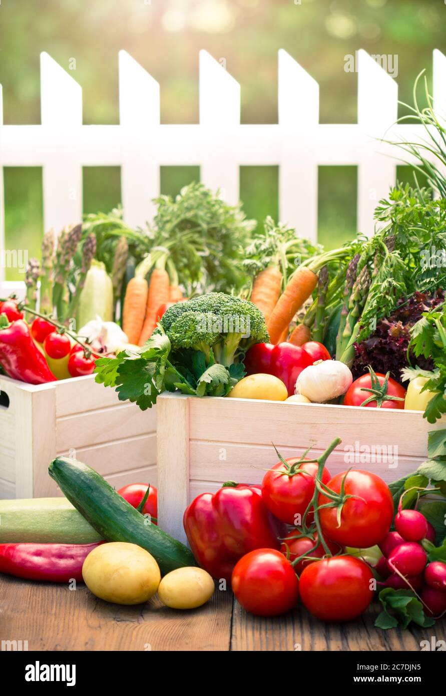 Mix of fresh vegetables Stock Photo - Alamy
