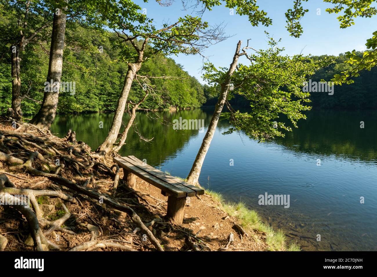 Morske oko lake in English "Sea Eye" (called Velke Vihorlatske jazero ...