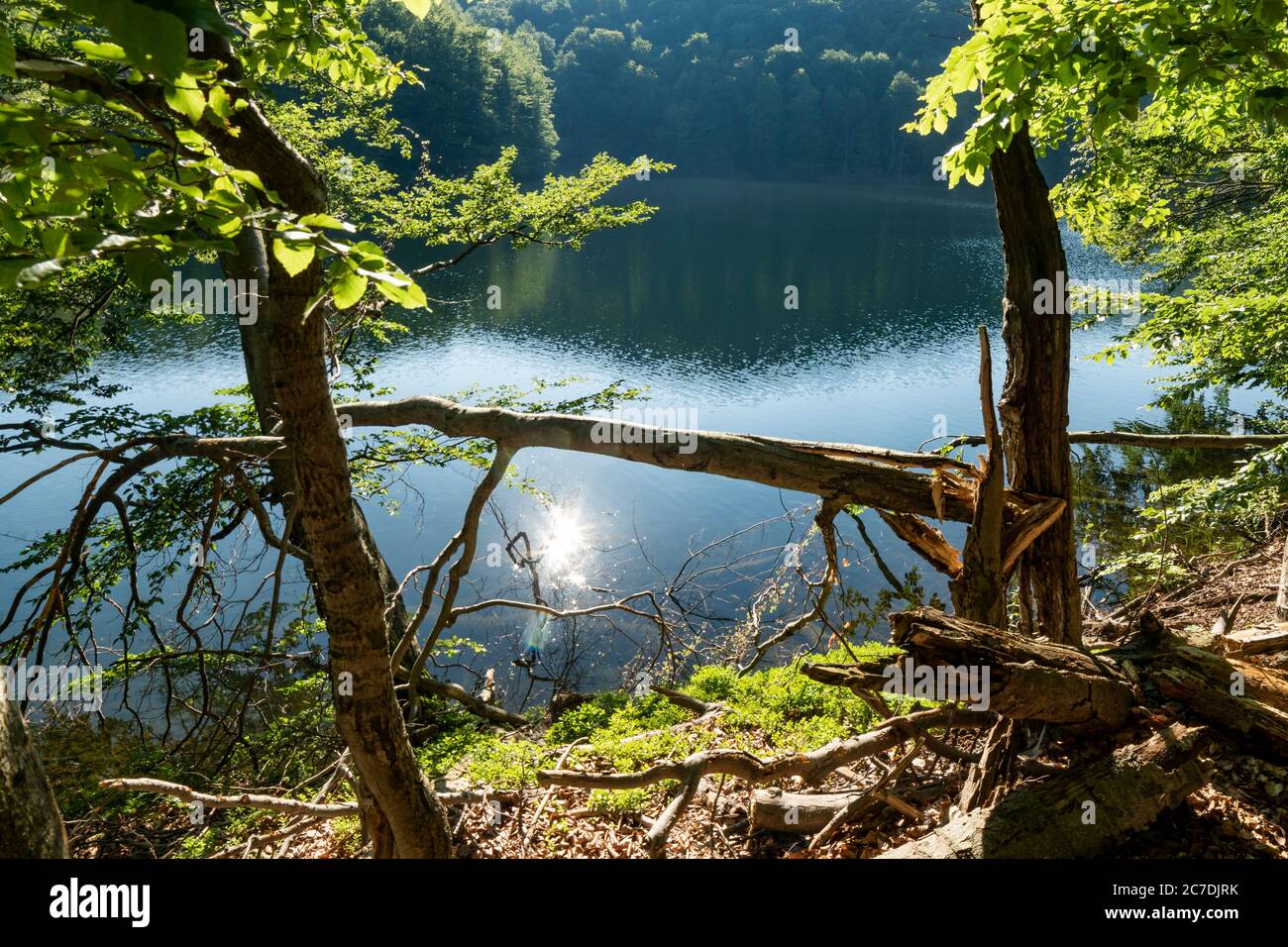 Morske oko vihorlat hi-res stock photography and images - Alamy