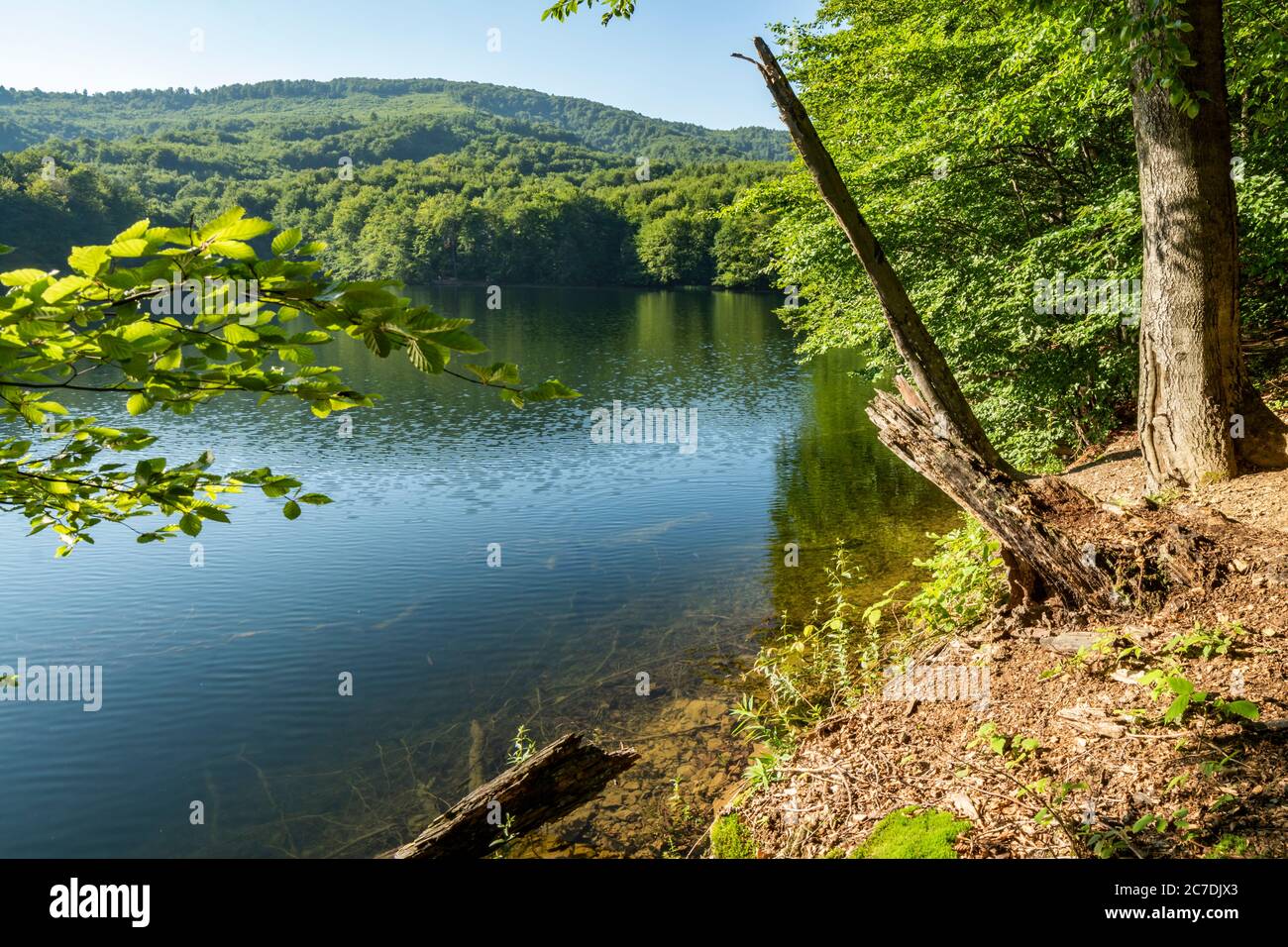 Morske oko lake in English "Sea Eye" (called Velke Vihorlatske jazero ...