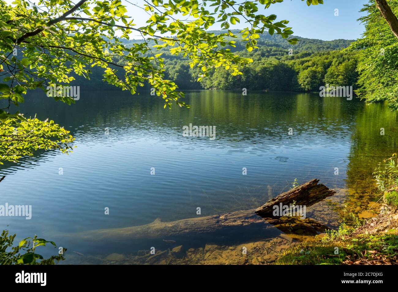 Morske oko lake in English "Sea Eye" (called Velke Vihorlatske jazero ...