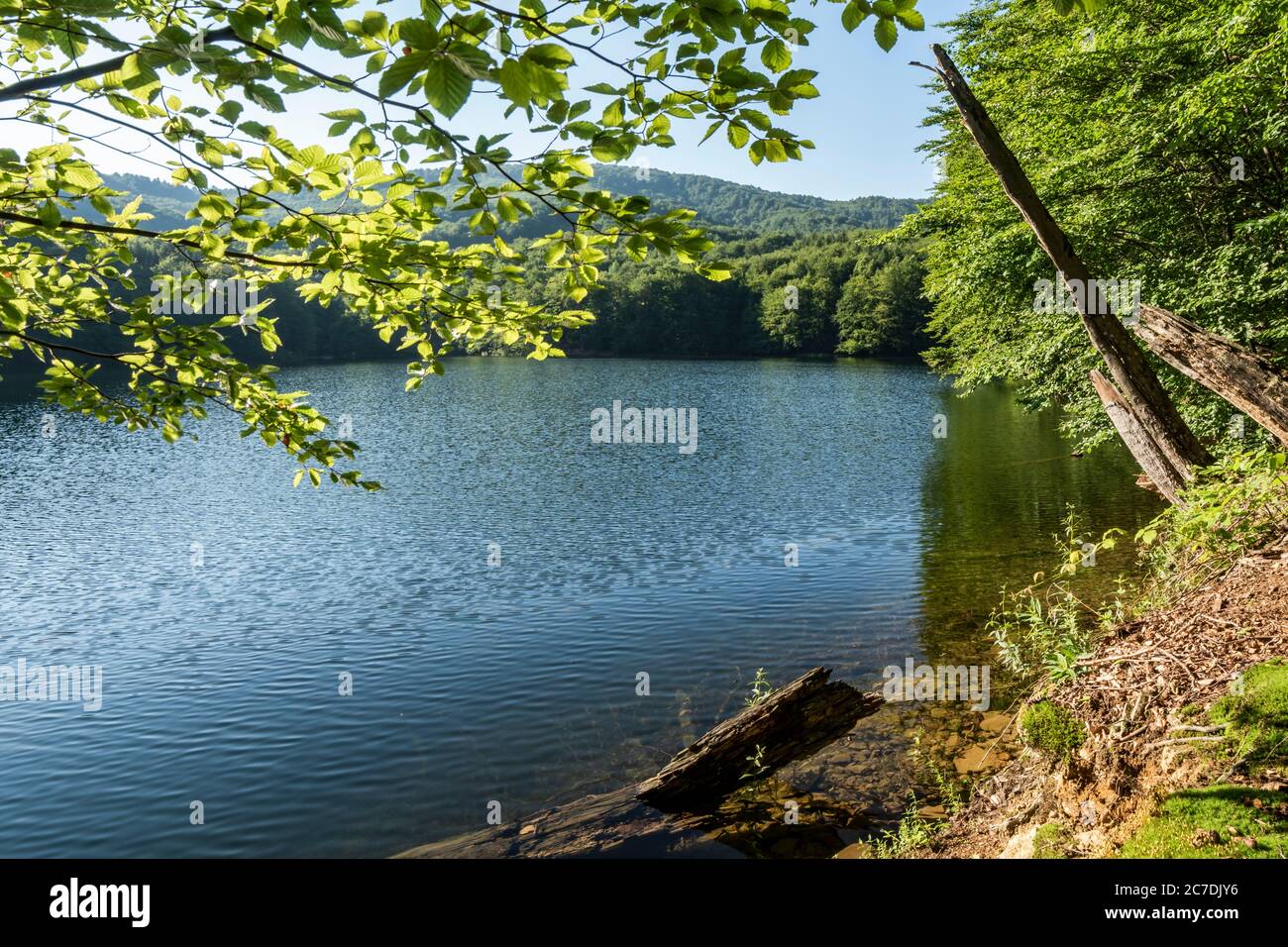 Morske oko lake in English "Sea Eye" (called Velke Vihorlatske jazero ...
