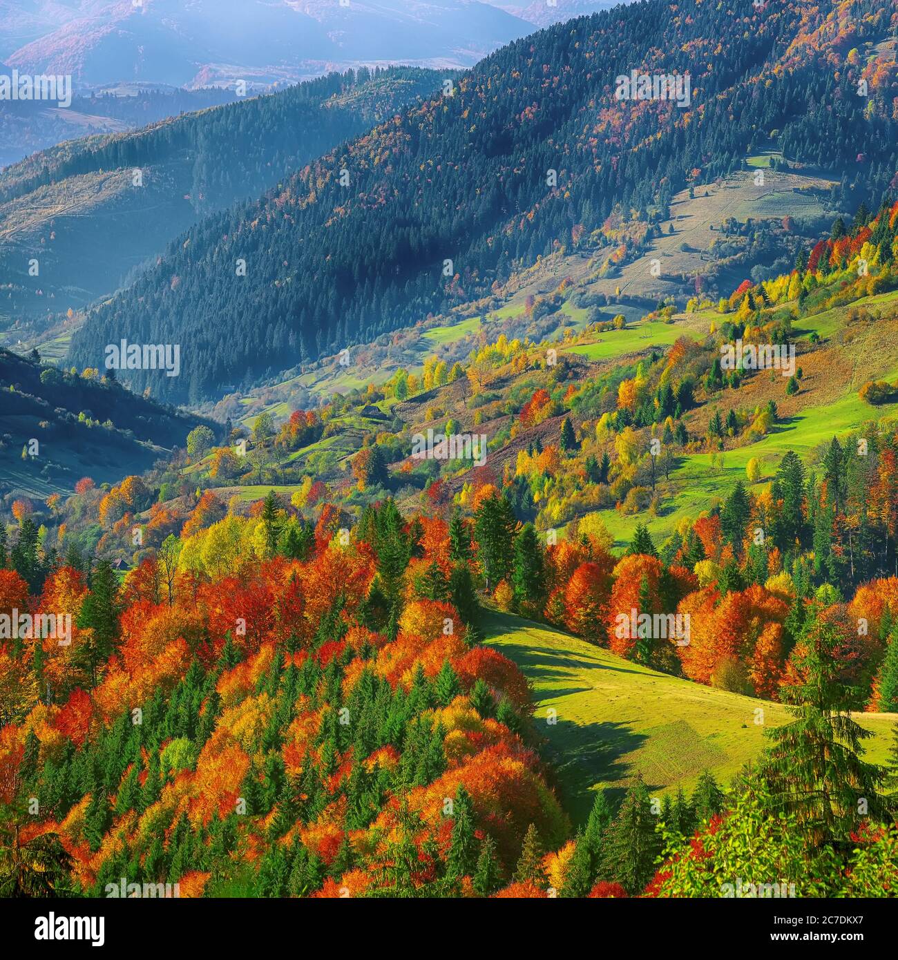 the mountain autumn landscape with colorful forest. Bright sunny ...