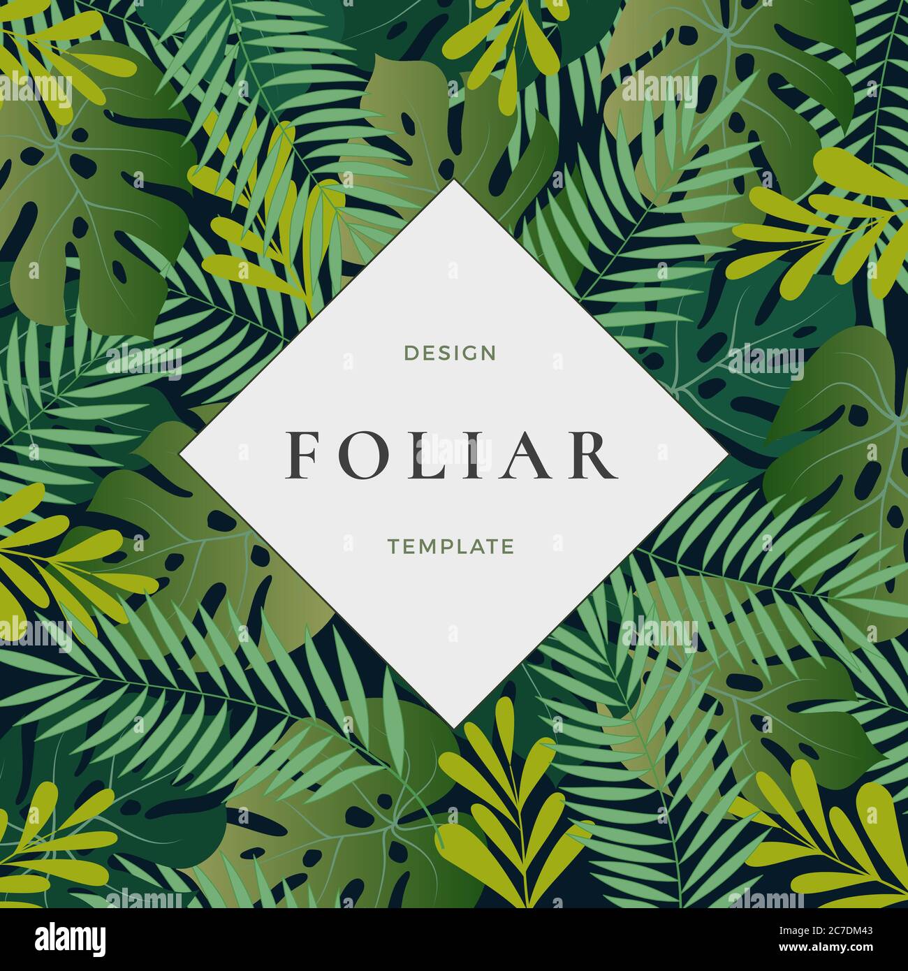 Tropical Forest Leaves Abstract Vector Background with Banner Template ...