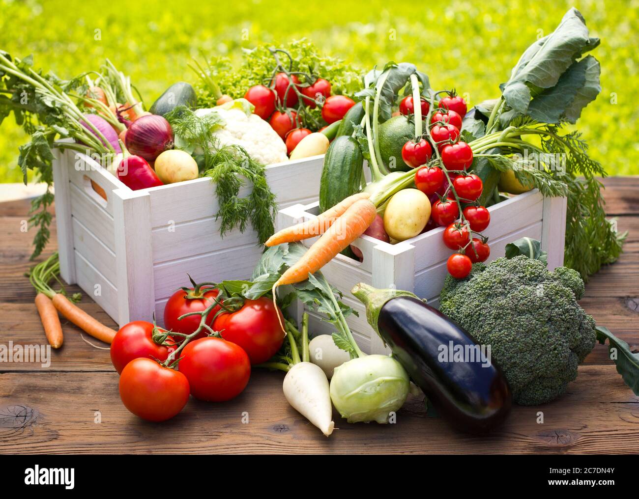 Fresh and organic vegetables in the garden Stock Photo - Alamy