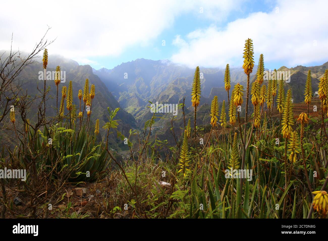 Santo antão, cape verde hi-res stock photography and images - Alamy