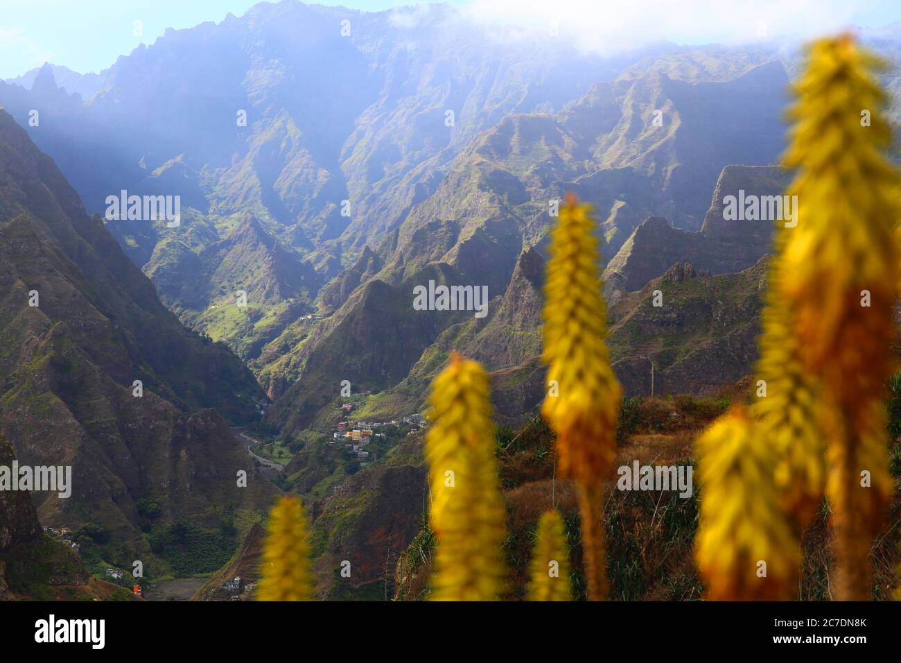 Tropical west africa flowers hi-res stock photography and images - Alamy