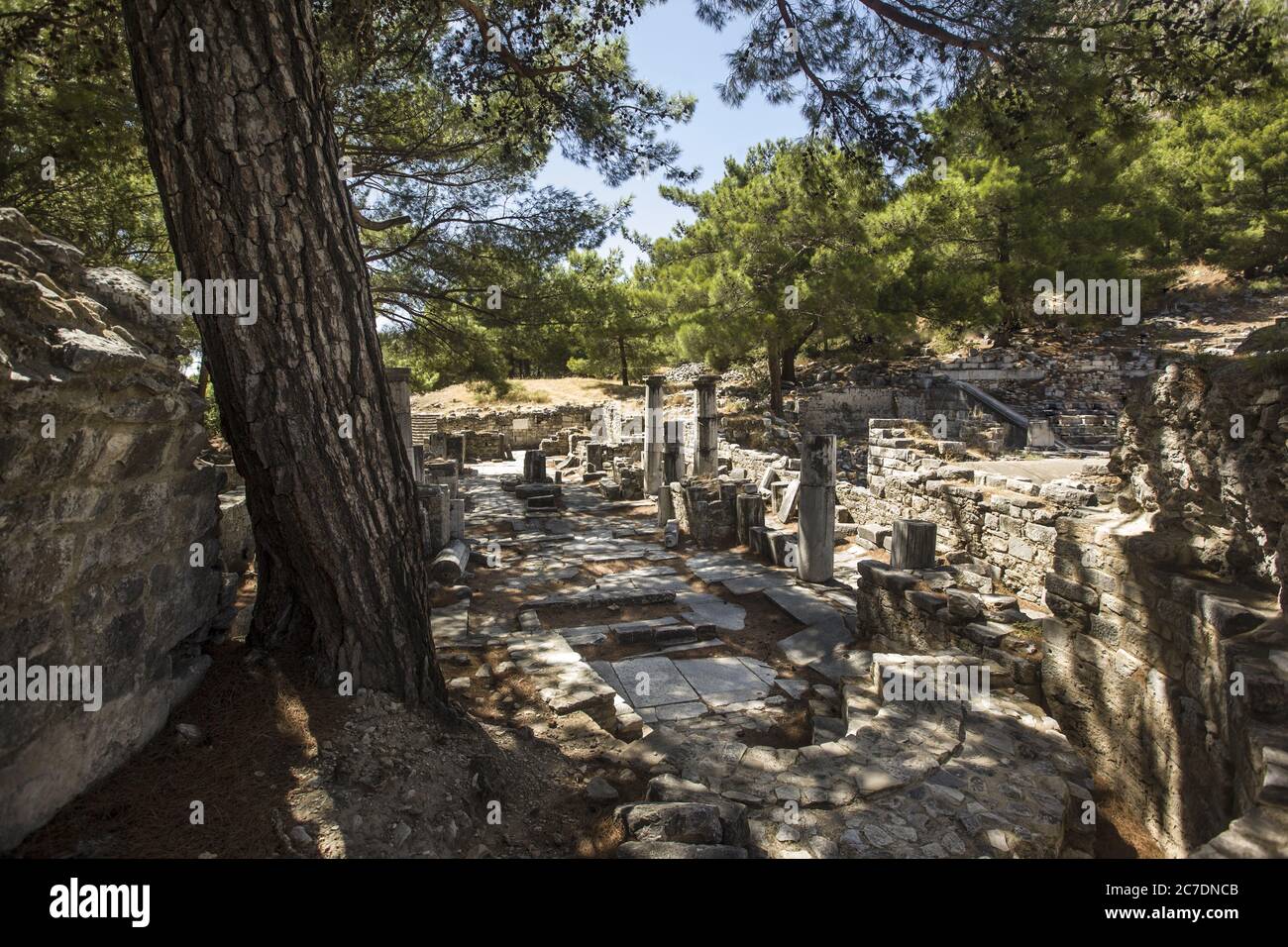 Wide shot of the ancient stone ruins of city of Priene in Turkey Stock ...