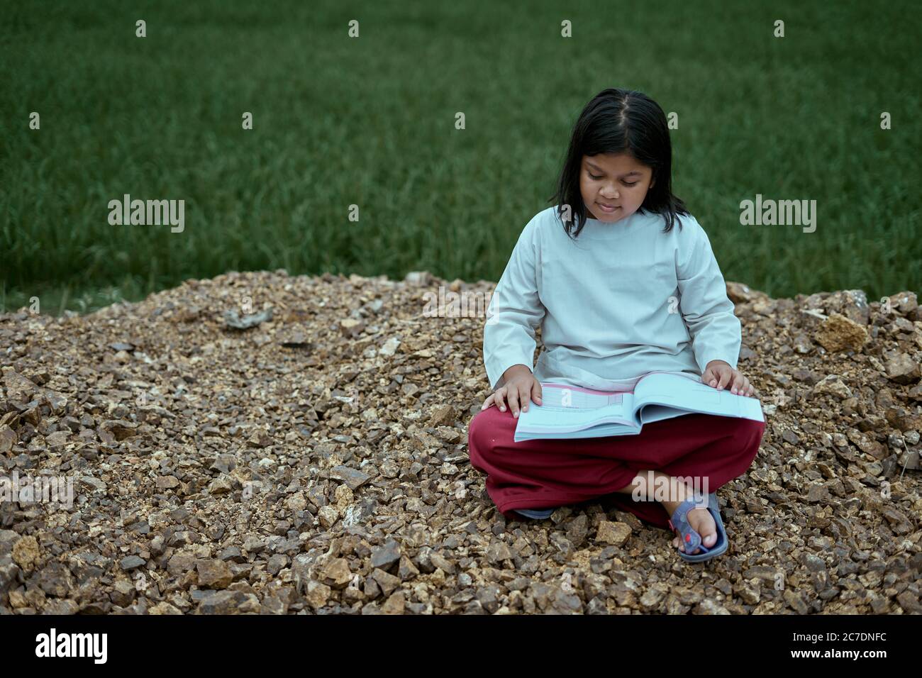 Asian Girls in school uniform study in rice field, New Normal for ...