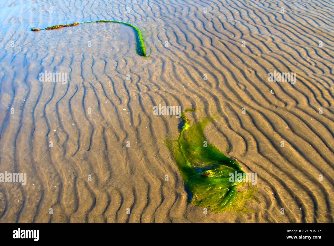Wave, sand and sea. Nature background Stock Photo - Alamy