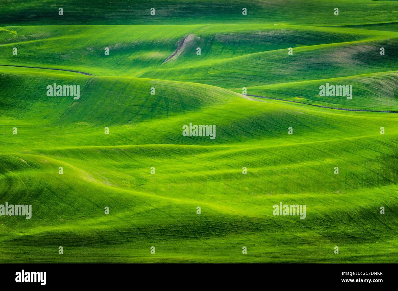 High angle shot of grassy hills at daytime in Eastern Washington Stock ...