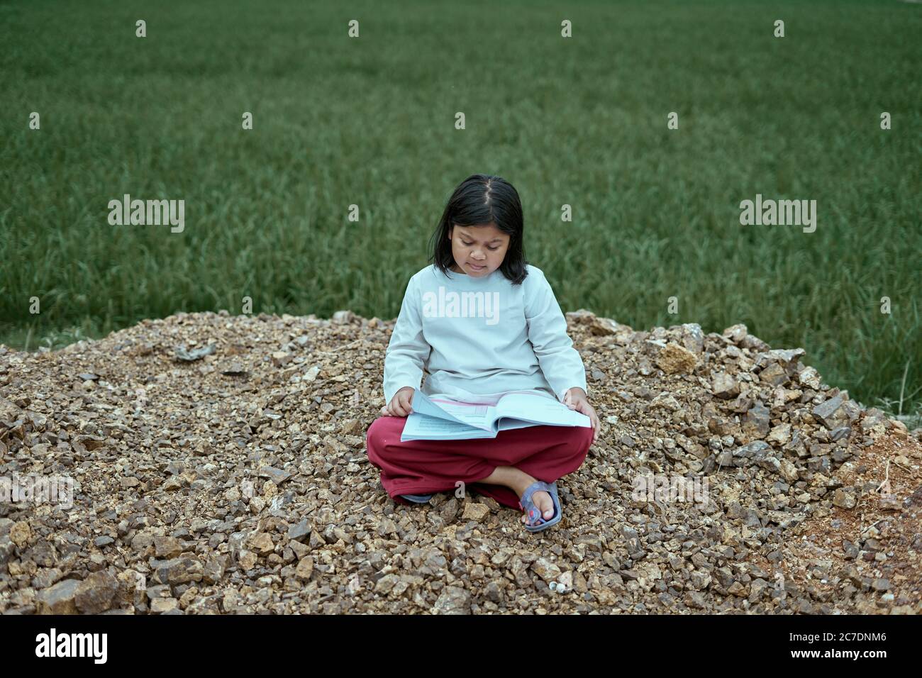 Asian Girls in school uniform study in rice field, New Normal for ...