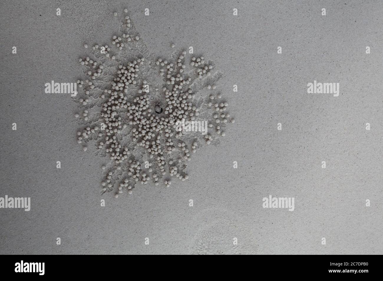 Negative patterns hi-res stock photography and images - Alamy