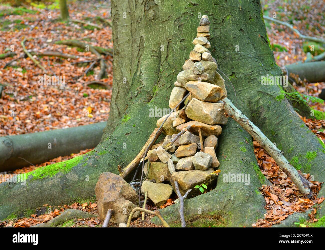 Trunk pyramid hi-res stock photography and images - Alamy