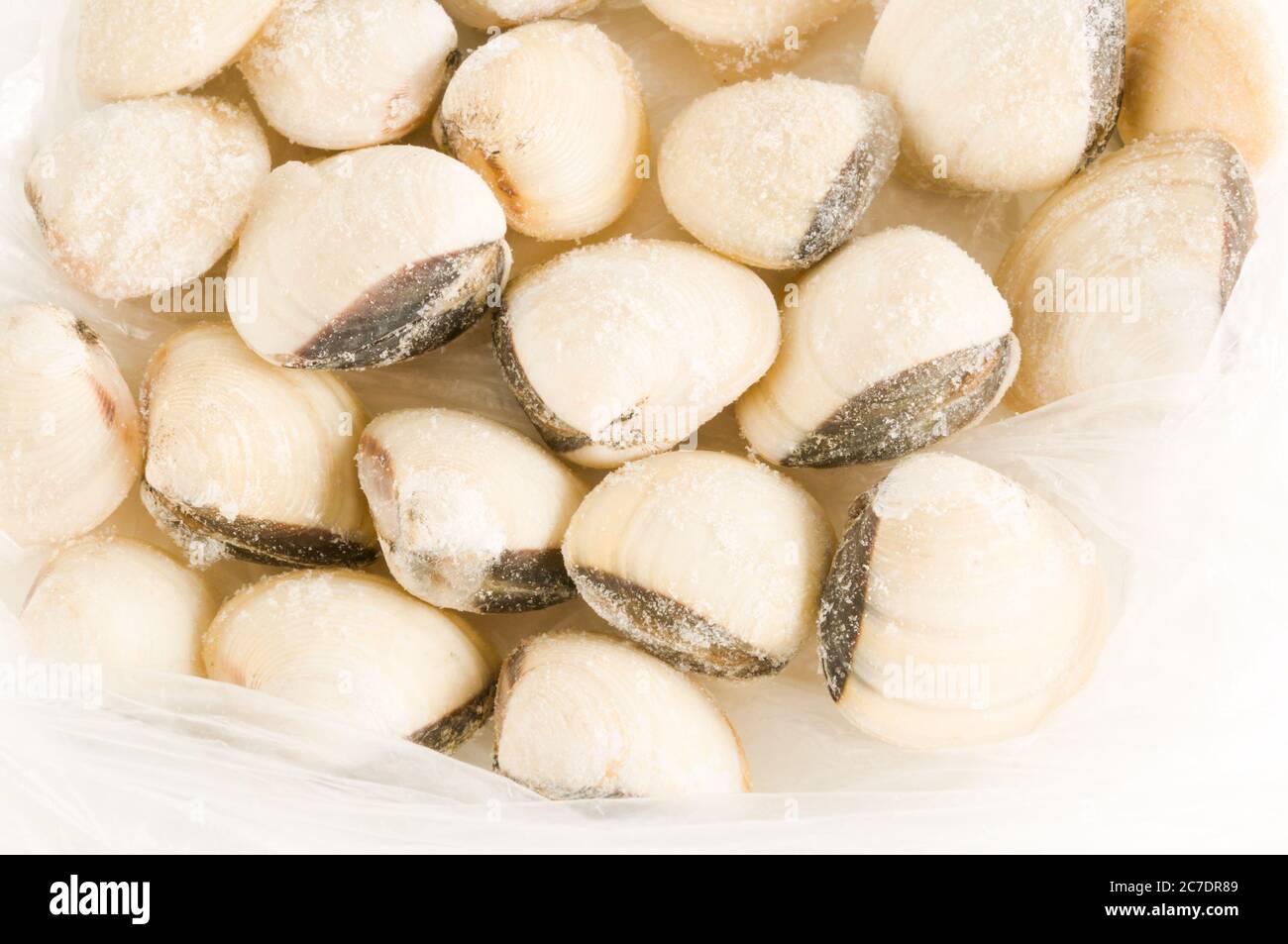 Collection of various clam shells from pacific ocean Stock Photo - Alamy