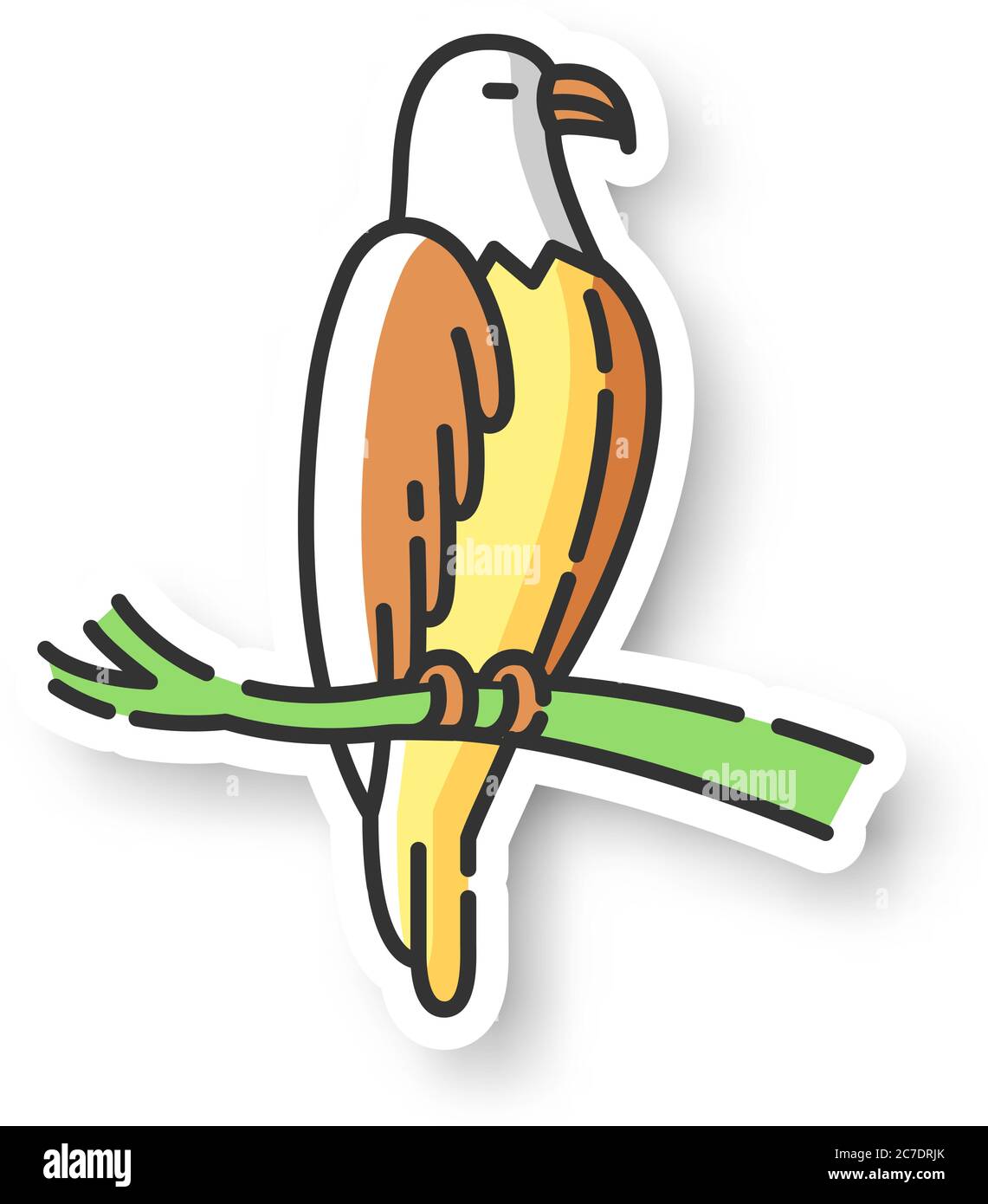 Eagle patch. Dangerous bird of prey, flying animal, winged predator ...